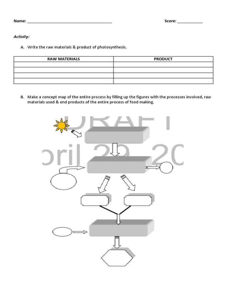 Sample Activity (Photosynthesis) | PDF