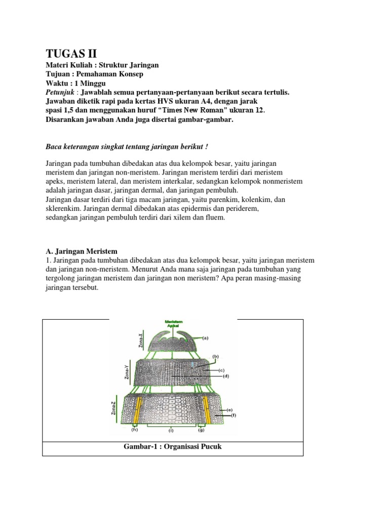 Tugas II LKM Jaringan | PDF | Kajian Bahasa Asing | Sains & Matematika