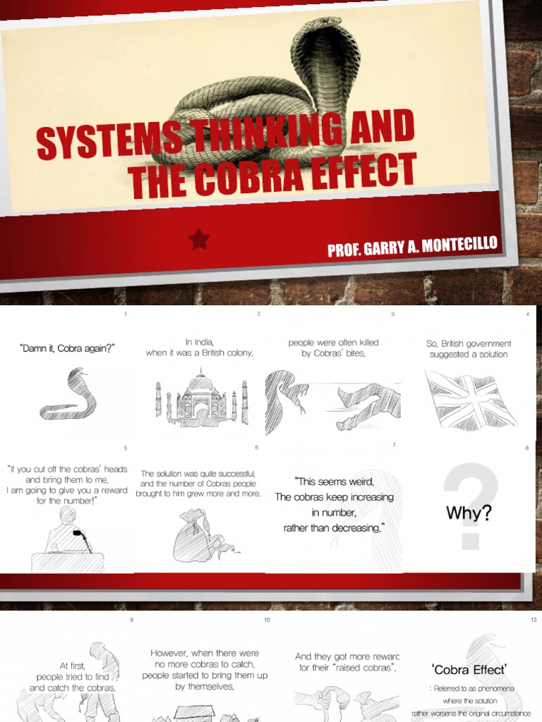 Systems Thinking and The Cobra Effect | PDF