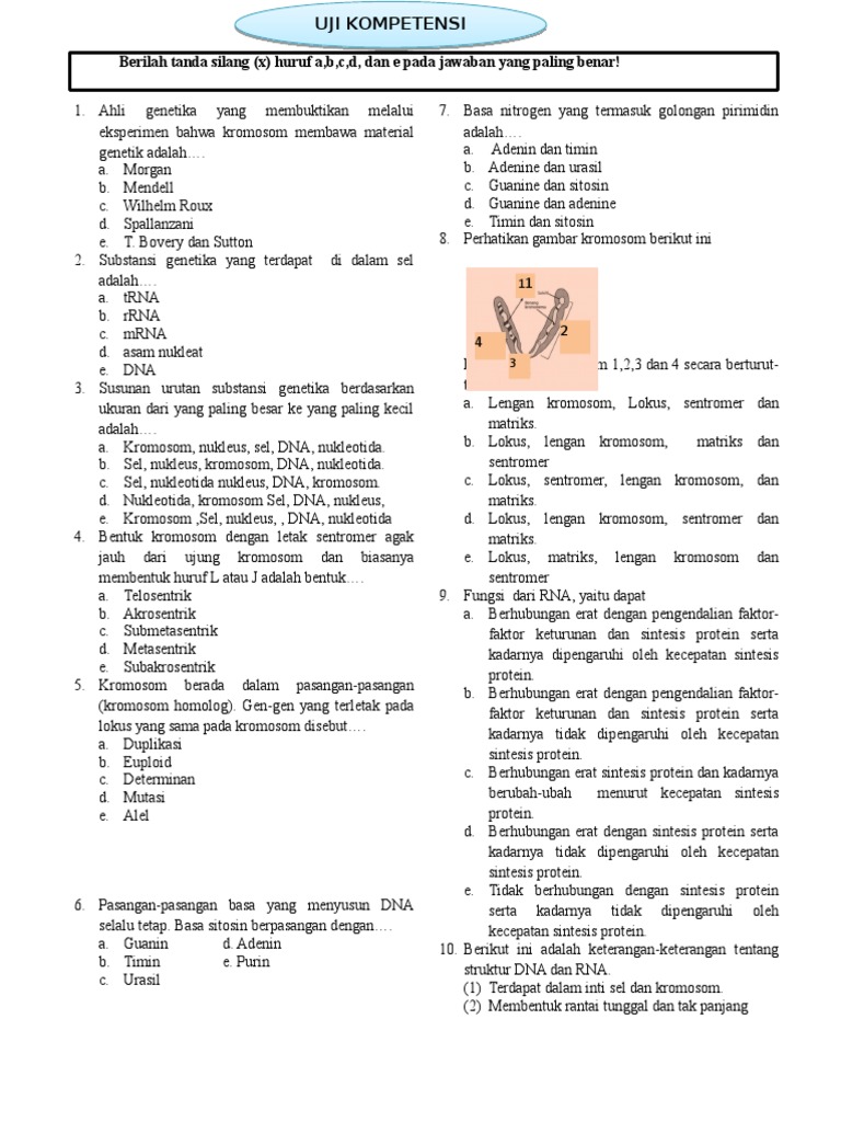 Soal Uji Kompetensi Bab III (Substansi Genetik) Kelas Xii | PDF