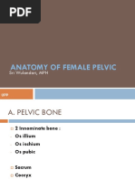 Anatomi Panggul | PDF | Pelvis | Musculoskeletal System