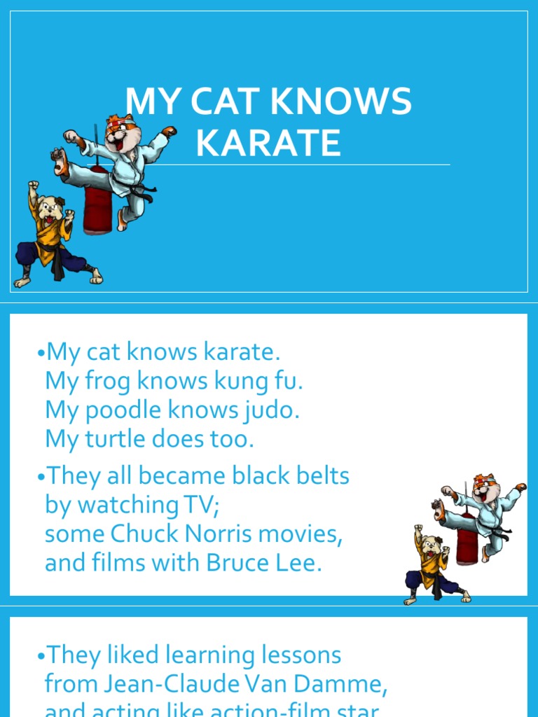 My Cat Knows Karate | PDF
