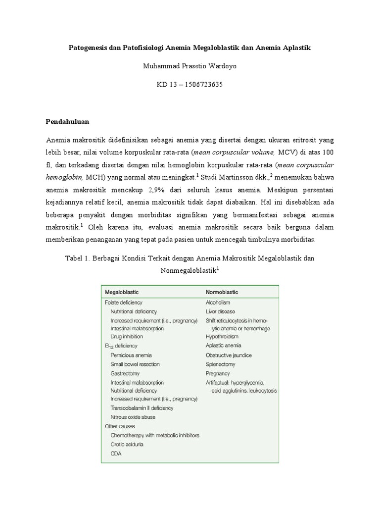 Patogenesis Anemia Megaloblastik dan Aplastik | PDF