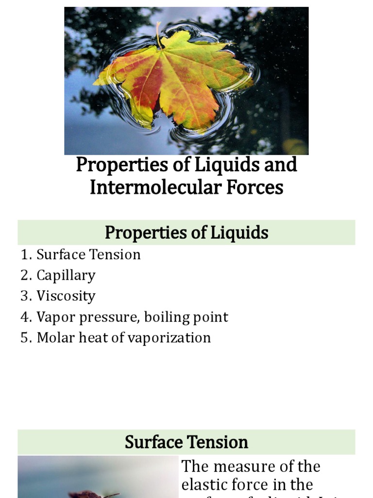 Properties of Liquids | PDF | Liquids | Surface Tension