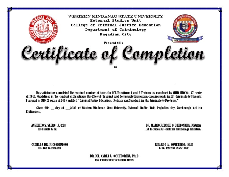 Sample Certificate of Completion On Practicum 101 | PDF