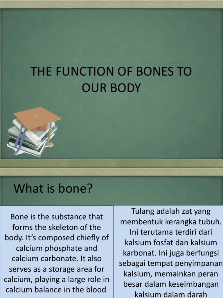 Functions and Types of Bones Explained | PDF | Skull | Bone