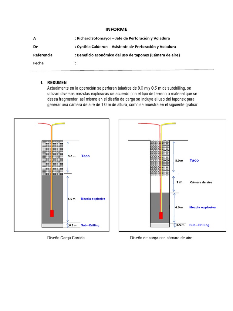 Informe Ahorro Taponex | PDF | Peligros | Materiales