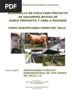 Ciclo de Vida de La Vaca | PDF | Vacas | Leche