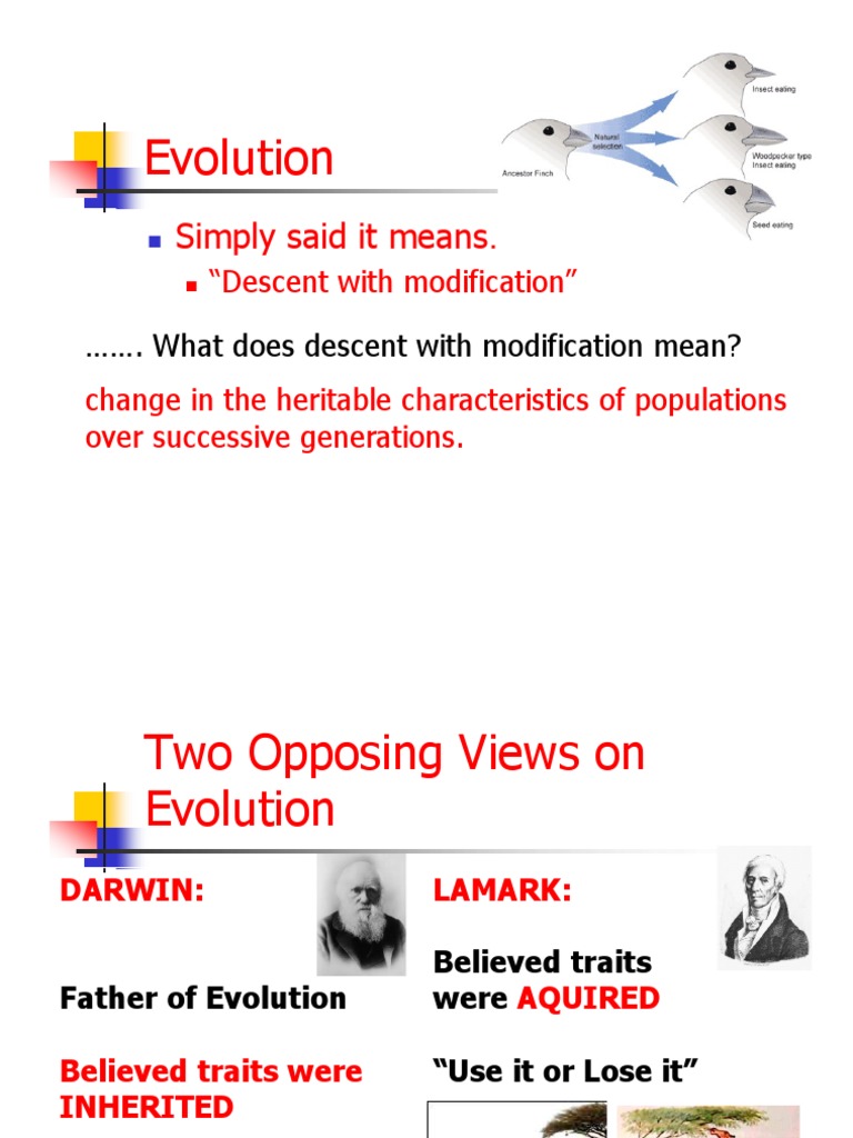 Unit 6 - Evolution | PDF | Evolution | Natural Selection