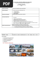 DRR Module 1 Detailed Lesson Plan | PDF | Hazards | Natural Disasters