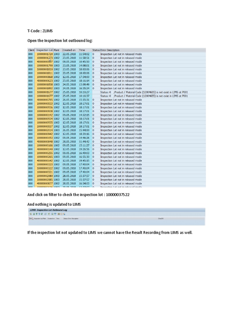 ZLIMS Outbound Inspection Lot Update | PDF | Business | Computers