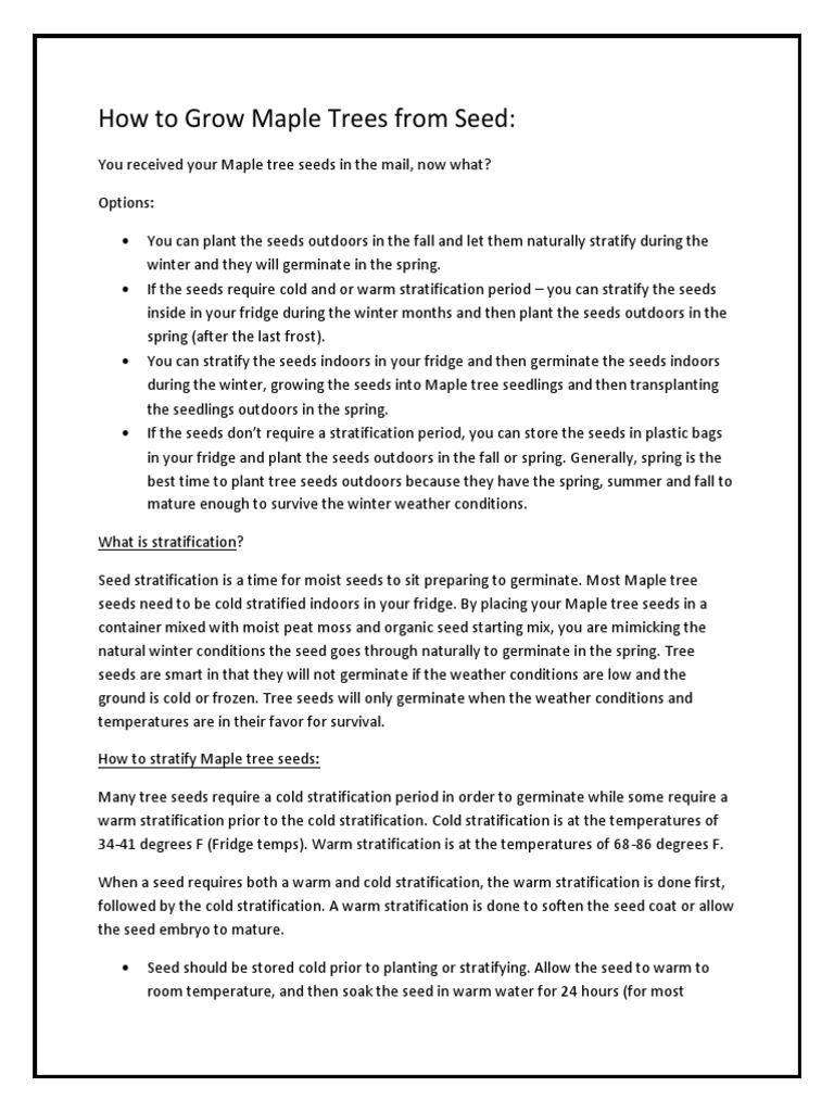 How To Grow Maple Trees From Seed | PDF | Seed | Landscape