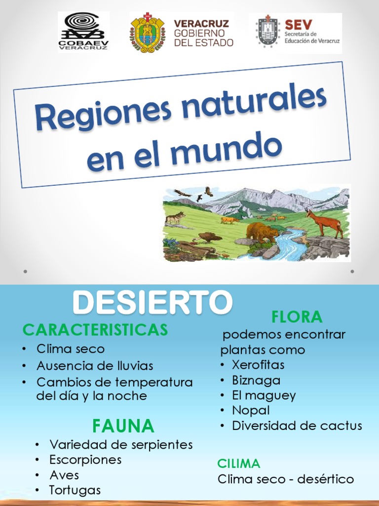 Regiones Naturales en El Mundo | PDF | Selva | Desierto