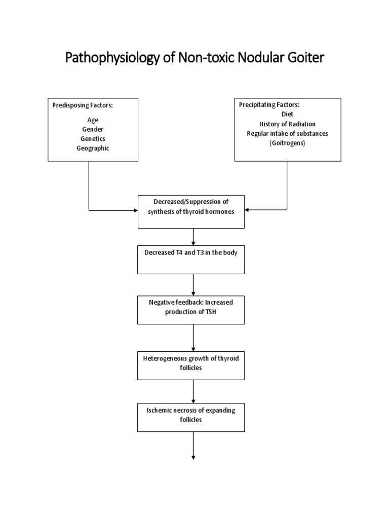 Pathophysiology of Nontoxic Nodular Goiter | PDF | Thyroid ...