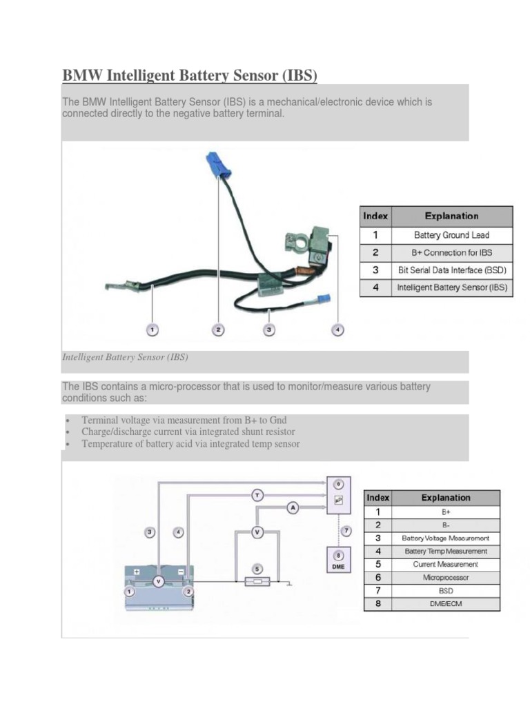 IBS Intelligent Battery Sensors - BMW, Sedona, Etc. | PDF | Electric ...