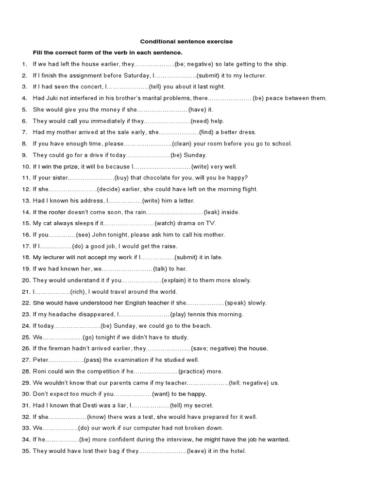 Conditional Sentence Exercise | PDF