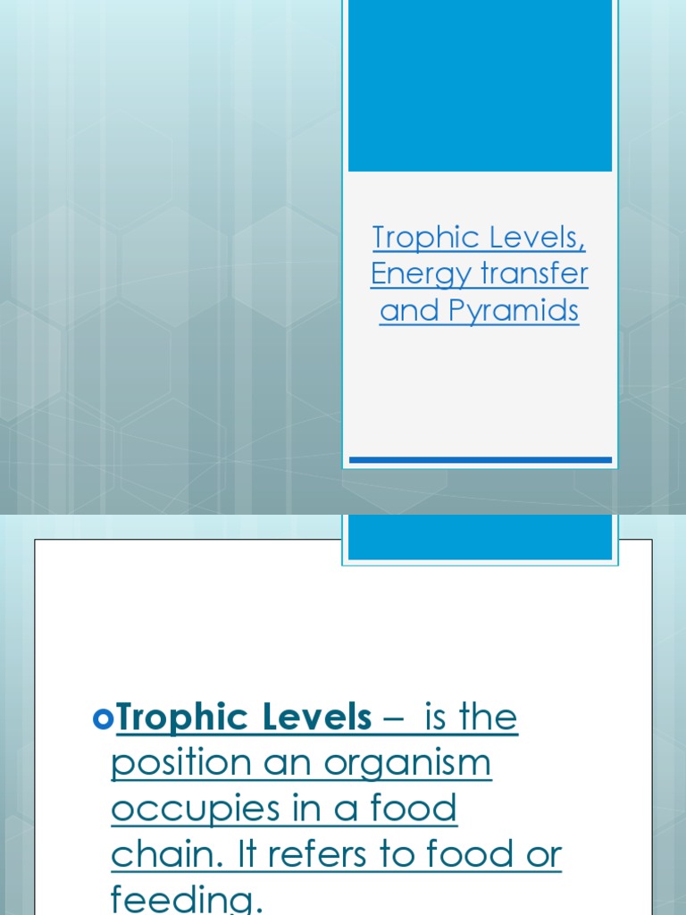 Trophic Levels, Energy Transfer and Pyramids | PDF | Food Web ...