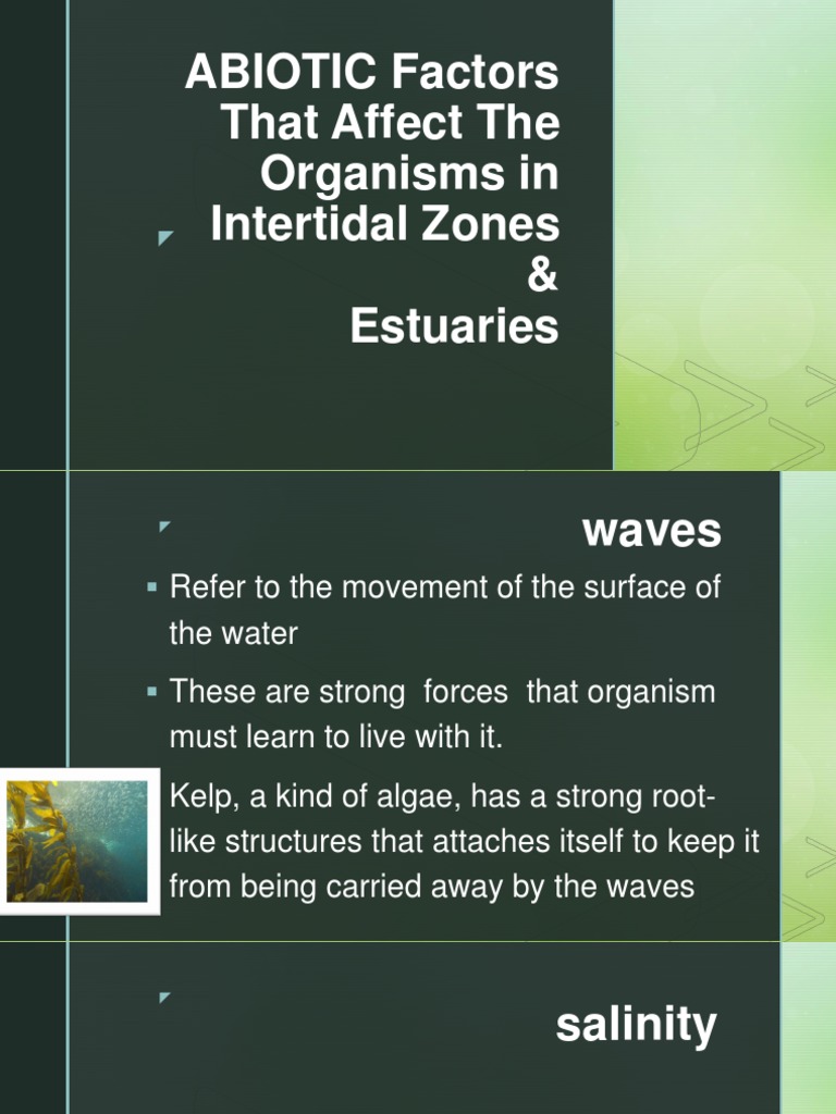ABIOTIC Factors That Affect The Organisms in Intertidal | PDF | Estuary ...