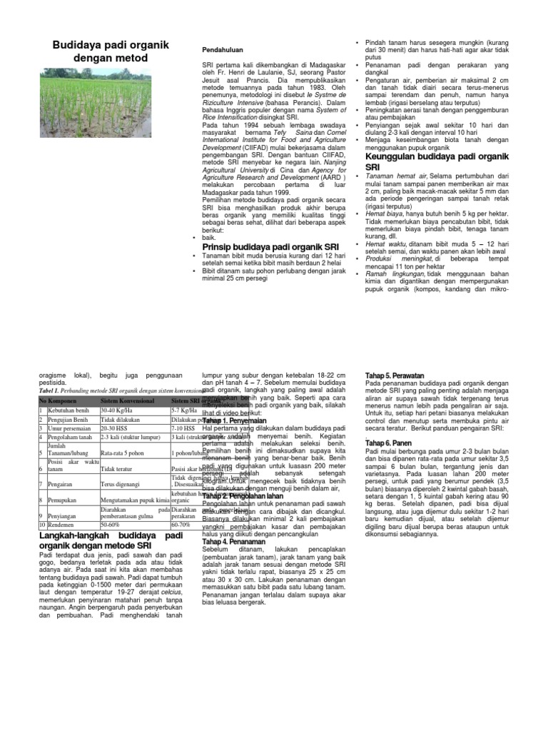 Budidaya Padi Organik SRI | PDF | Griya & Taman | Sains & Matematika