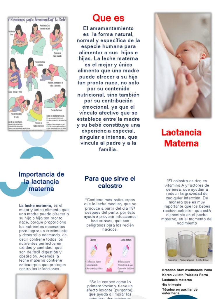 Folleto Lacta | PDF | La leche materna | Amamantamiento