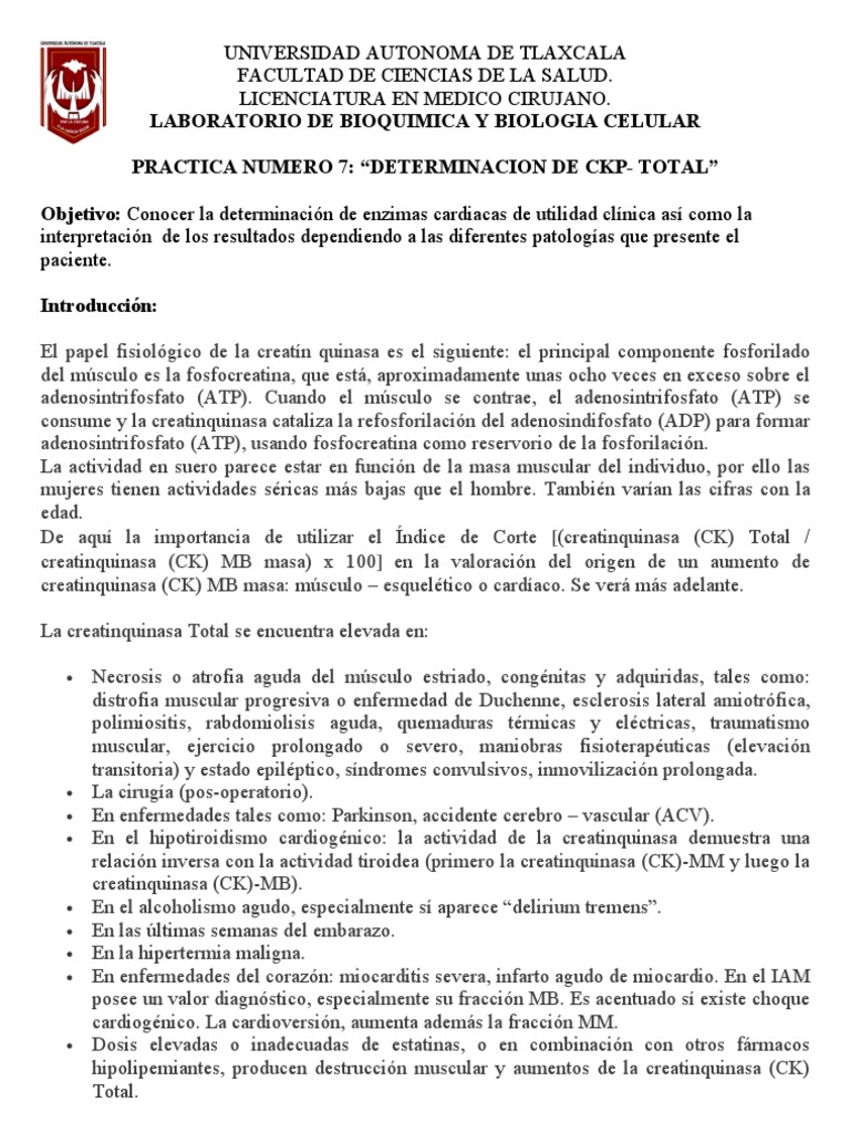 CPK Total | PDF | Músculo | Especialidades Medicas