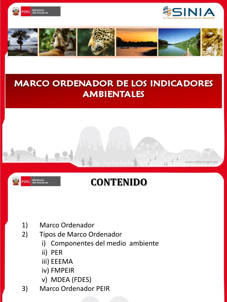 Marco Ordenador de Los Indicadores Ambientales | PDF | Entorno natural | Contaminación