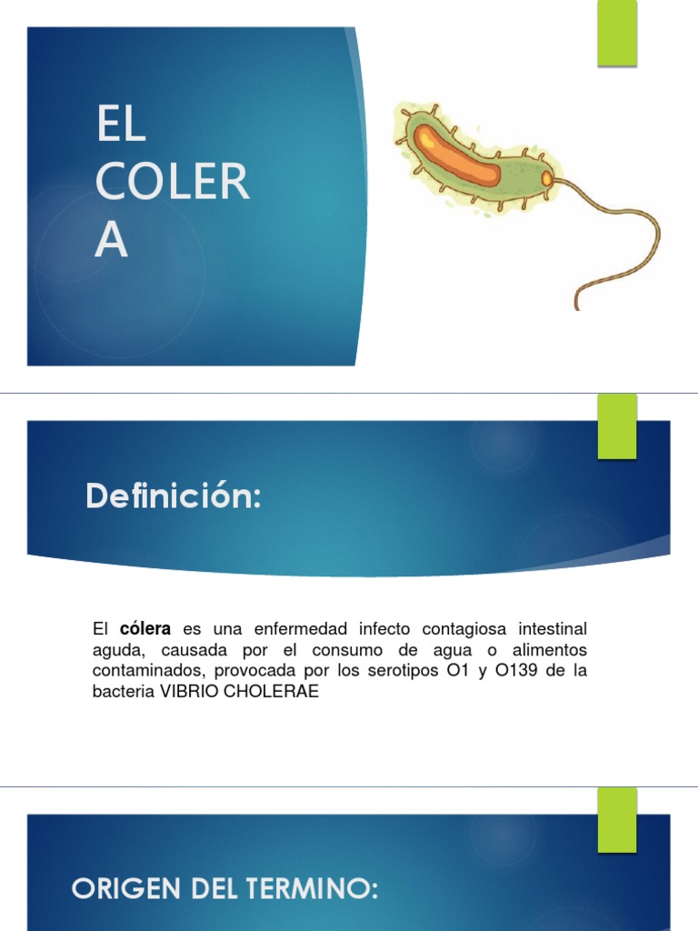 El Cólera | PDF | Cólera | Diarrea