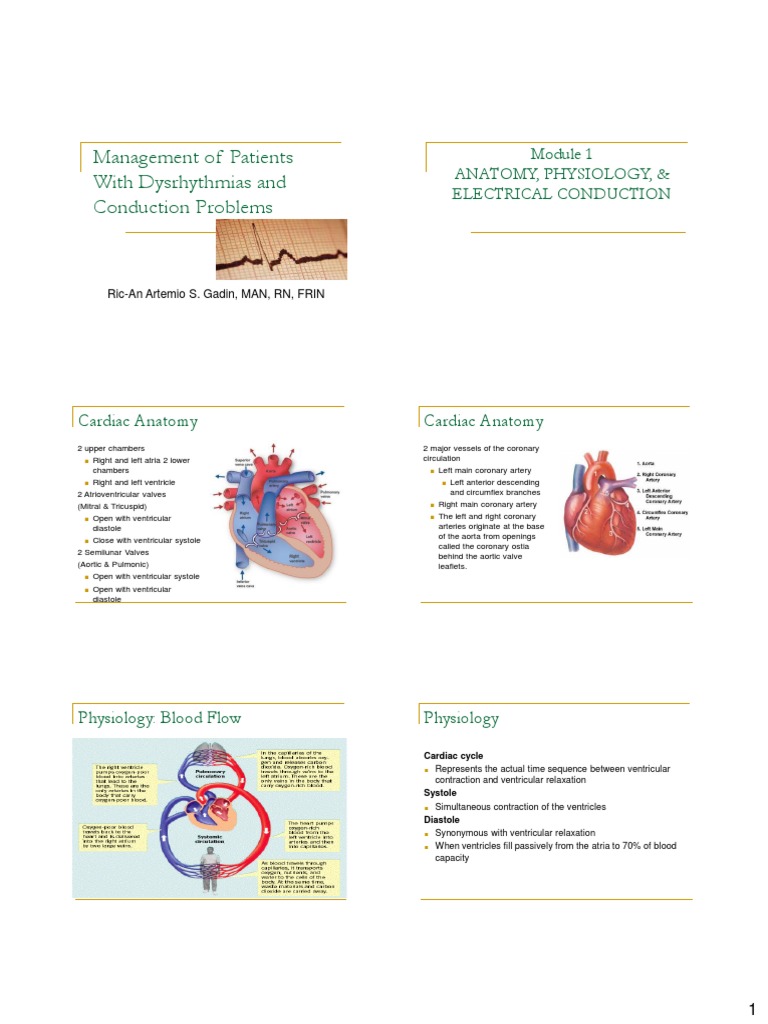 Understanding Cardiac Dysrhythmias and Conduction Abnormalities: A ...
