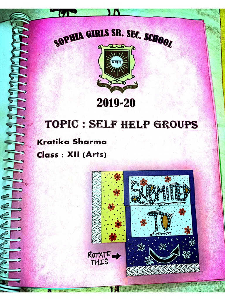 Economics Project SHG Class12th (2019-20) | PDF