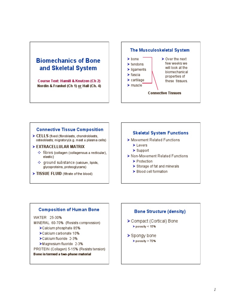 Biomechanics of Bone and Skeletal System | PDF | Bone | Young's Modulus