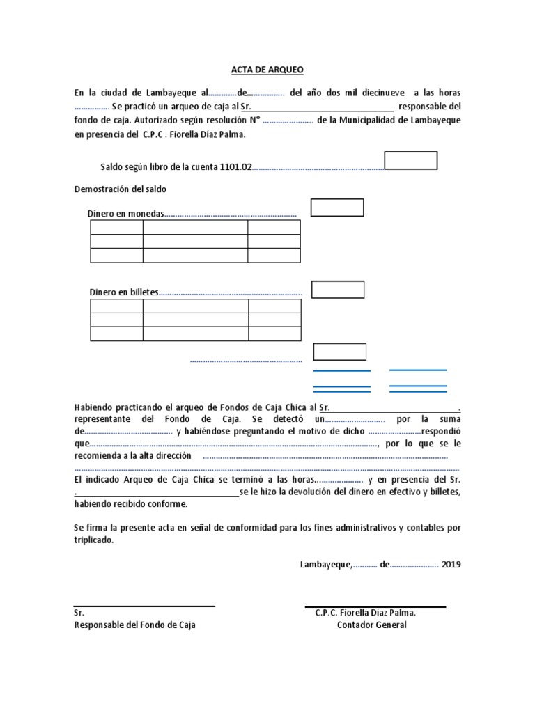 Acta de Arqueo | PDF | Derecho