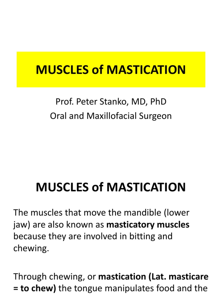 Muscles of Mastication: Prof. Peter Stanko, MD, PHD Oral and ...