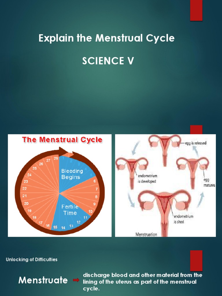 Safe Days Post-Menstruation Explained | PDF