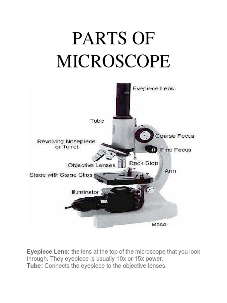 Parts of Microscope: Eyepiece Lens: Tube | PDF | Atomic | Applied And ...