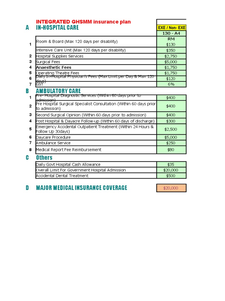 Integrated GHSMM Insurance Plan Details | PDF | Hospital | Surgery