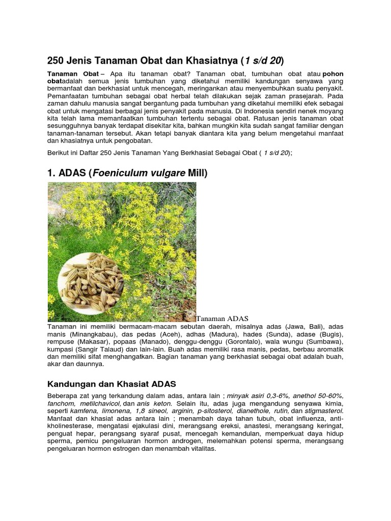 250 Jenis Tanaman Obat Dan Khasiatnya | PDF