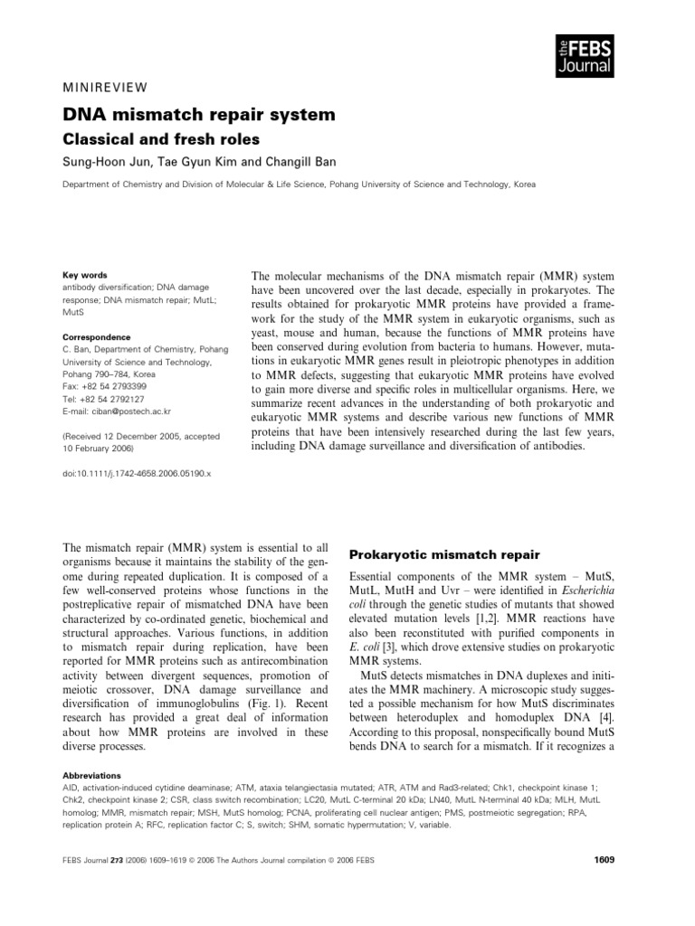 DNA Mismatch Repair Systems: Classical Functions and Emerging Roles of ...