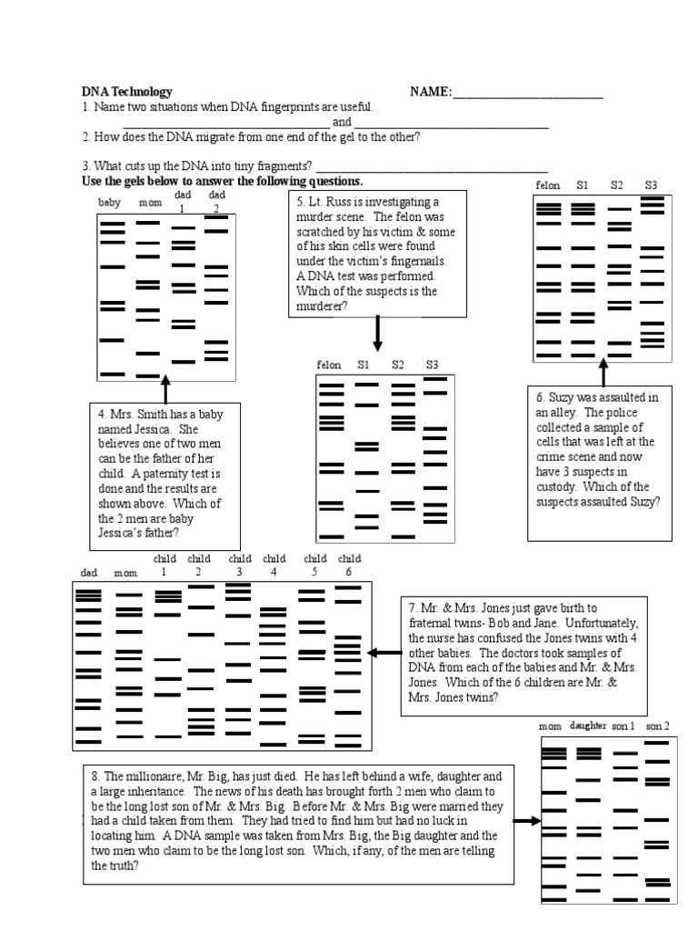 DNA Fingerprinting and Genetic Testing Guide | PDF | Gene | Plasmid
