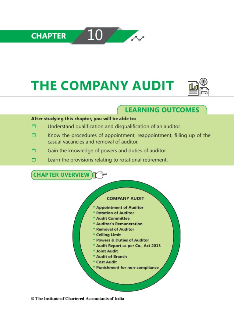 Company Audit | PDF | Audit Committee | Board Of Directors