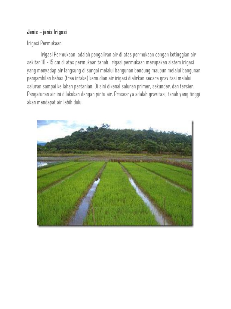Jenis Jenis Irigasi | PDF