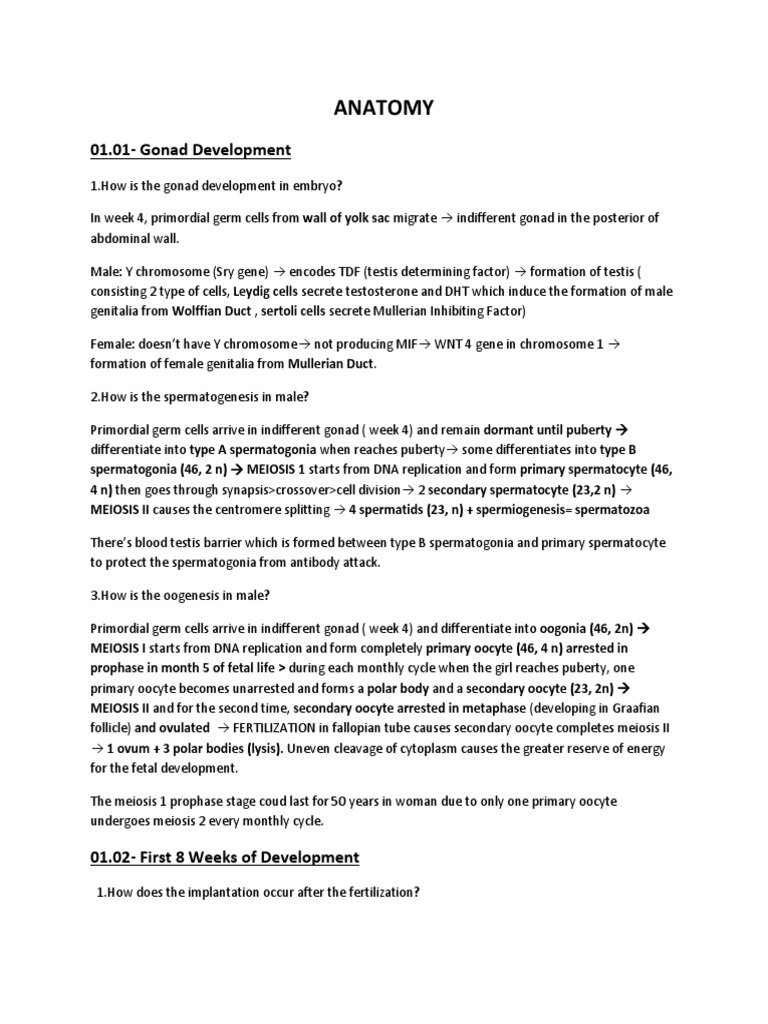 USMLE Notes | PDF | Coronary Circulation | Aorta