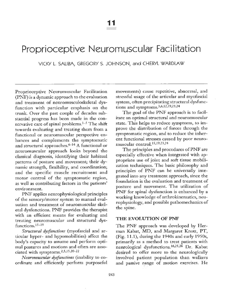 PNF Article | PDF | Muscle Contraction | Anatomical Terms Of Motion