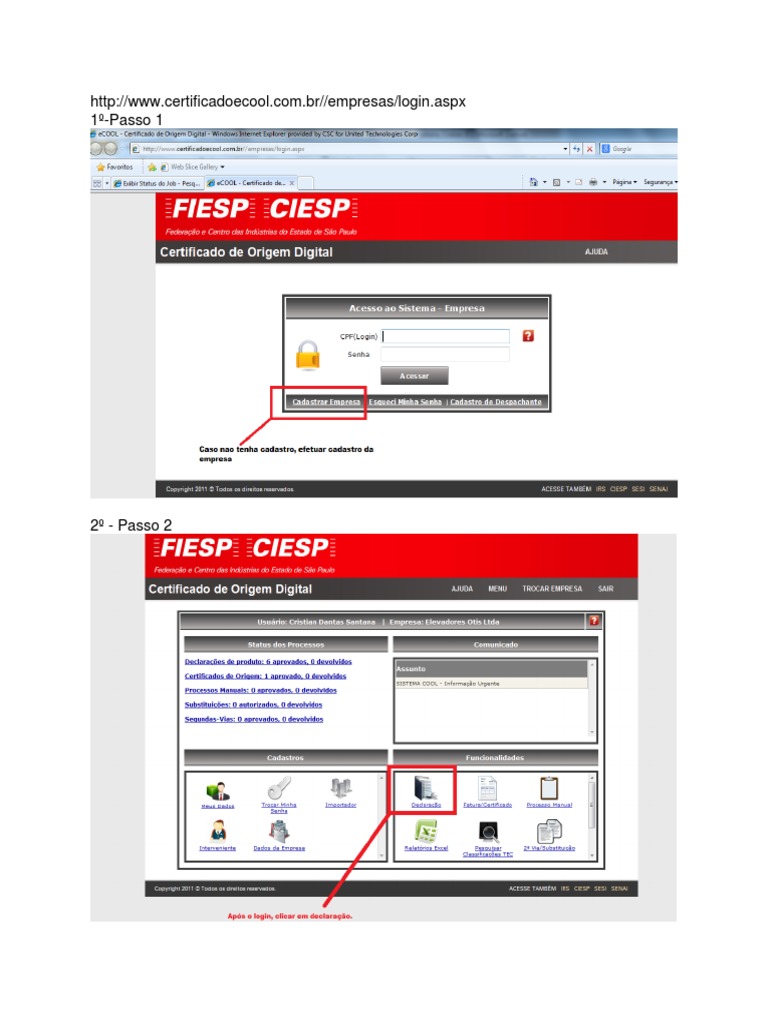 Passo A Passo - Declaração FIESP | PDF | Negócios
