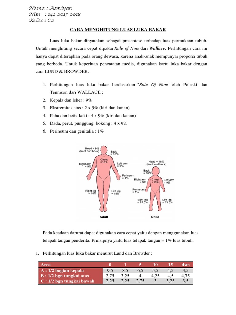 Cara Menghitung Luas Luka Bakar | PDF