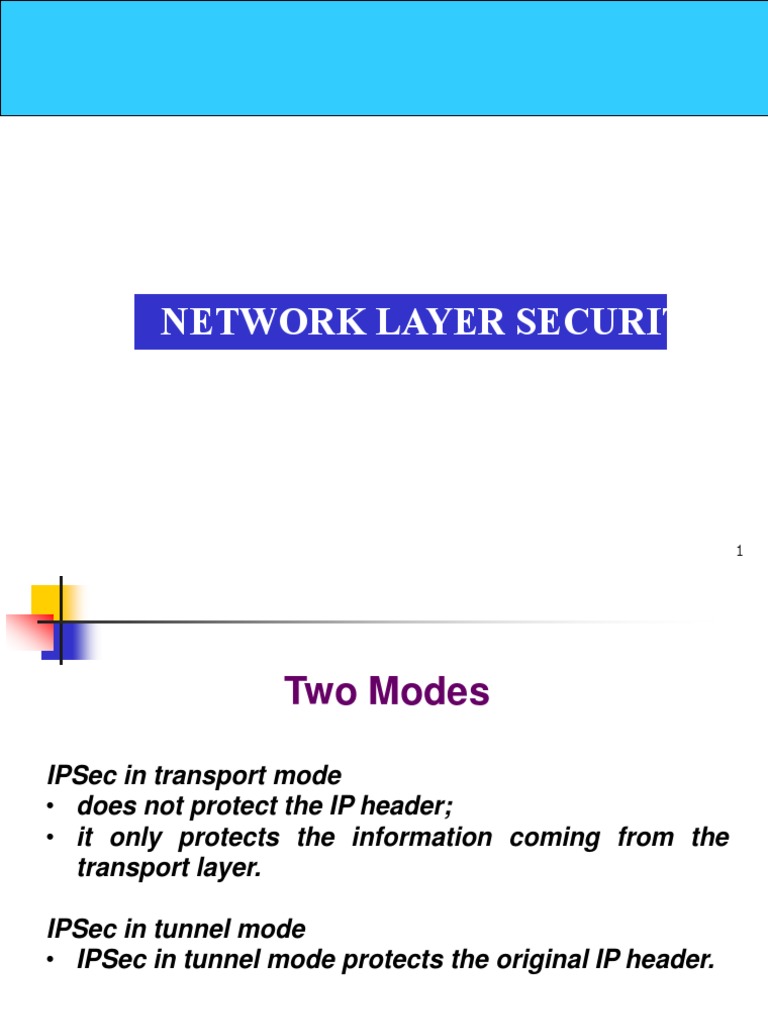 Network Layer Security | PDF | Firewall (Computing) | Transport Layer Security