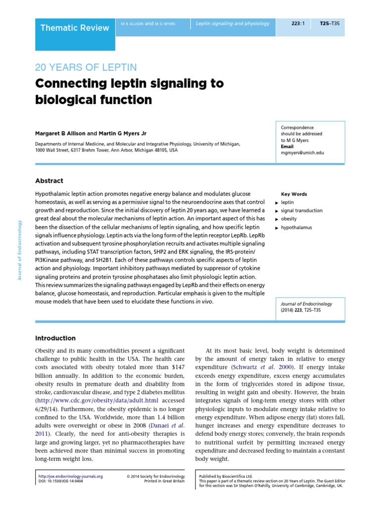 Leptina PDF | PDF | Leptin | Signal Transduction