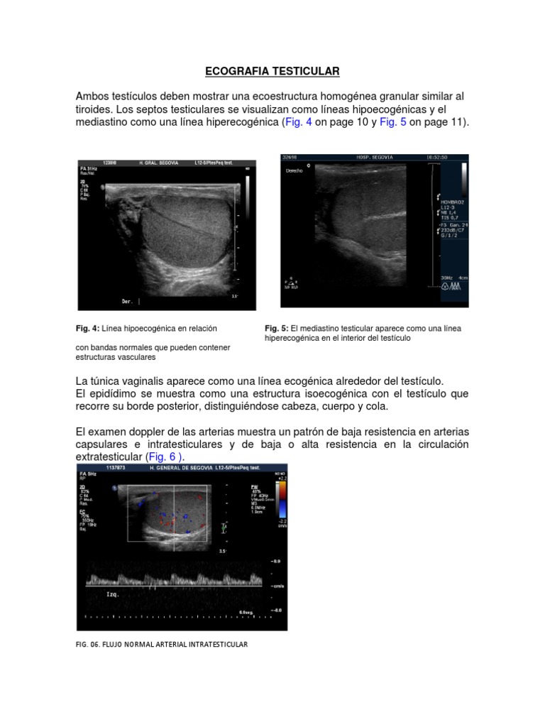 Ecografia Testicular Pdf