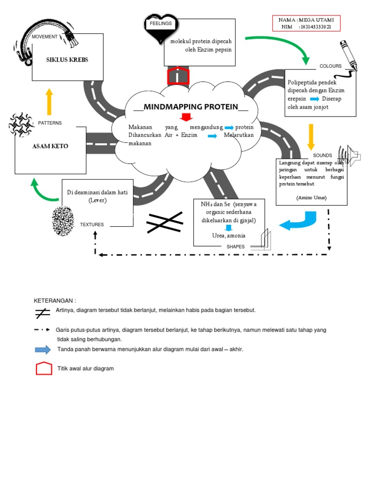 Mind Map Metabolisme dan Enzim | PDF