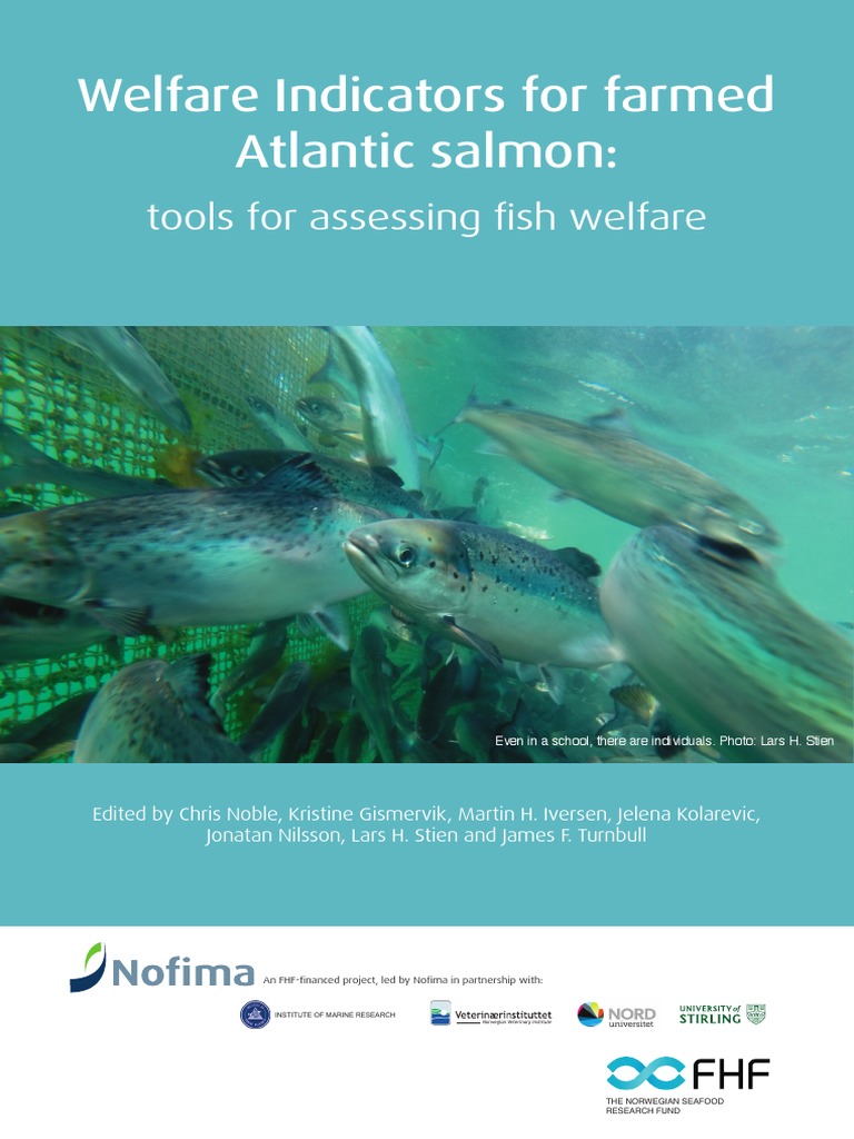 Welfare Fish | PDF | Animal Welfare | Perception