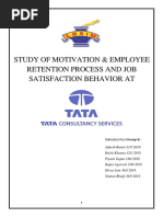 Organizational Structure - TCS | PDF | Employment | Organizational ...